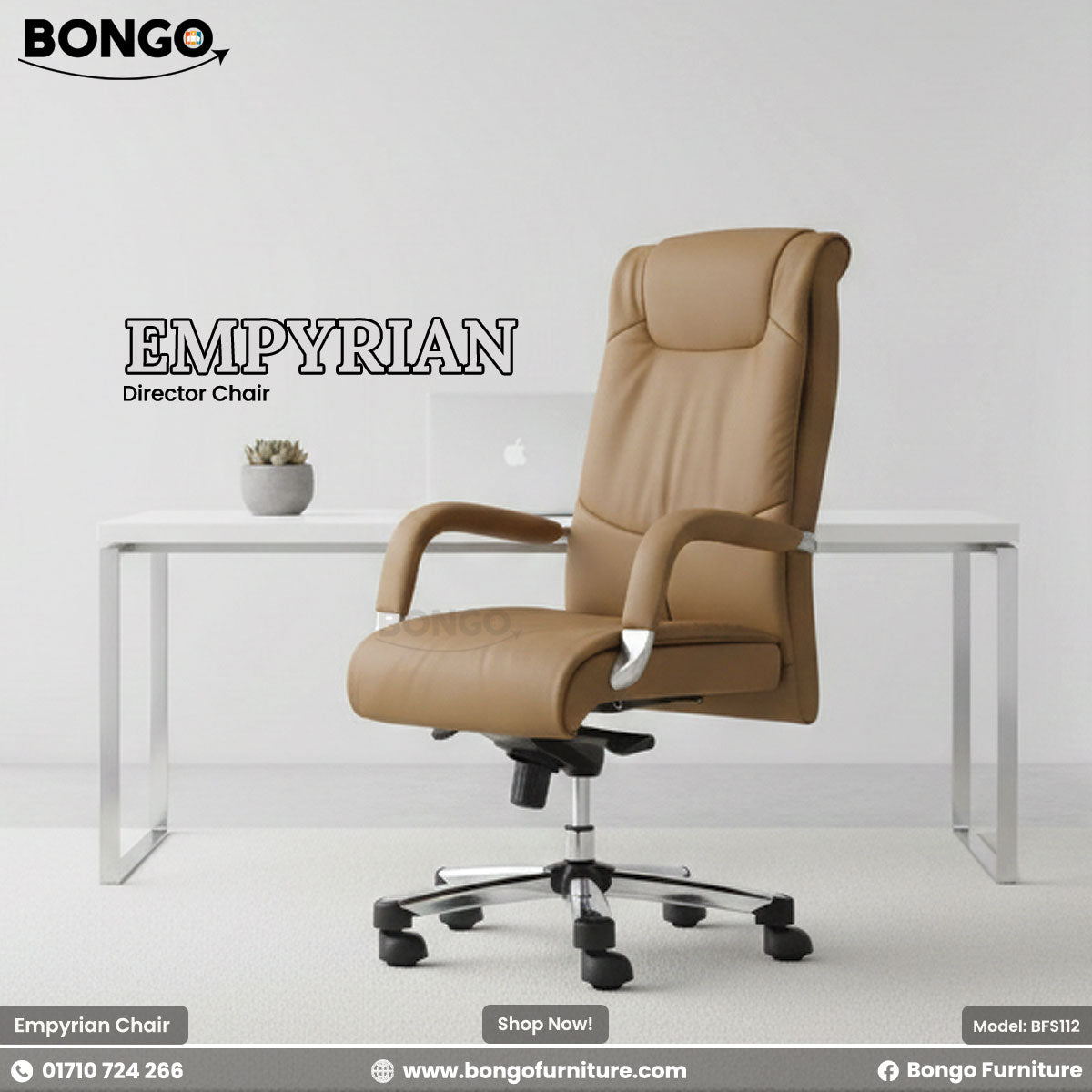 Bongo Empyrean Director Chair - BFS112 | Bongo Furniture